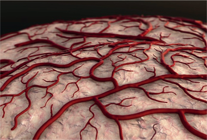 Liquid biopsy for colorectal cancer could guide therapy for tumours ...