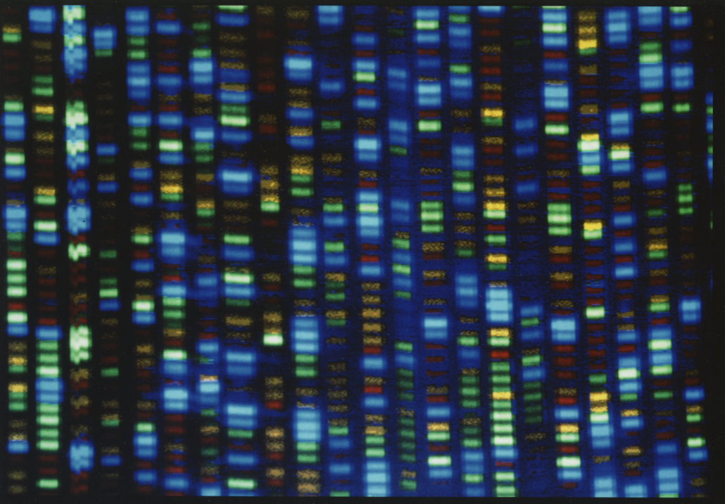 Discovery shows human cells can write RNA sequences into DNA - Clinical ...