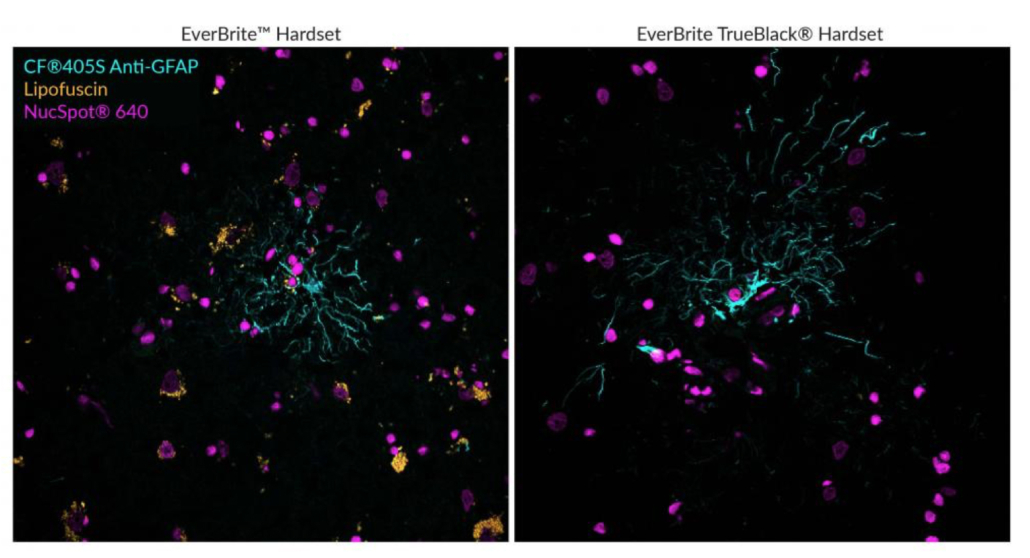 Biotium launches first ever mounting media with far-red nuclear ...