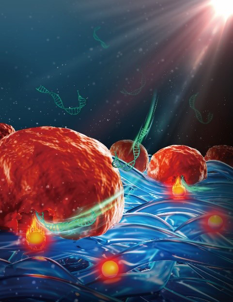 New technology allows molecules to enter cells safely - Clinical ...