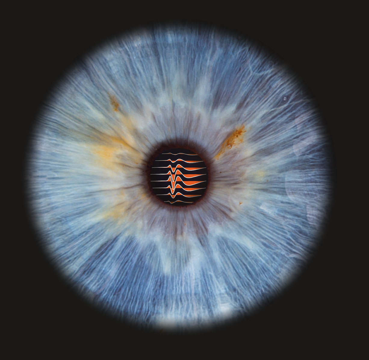 Neuroscientists show how visual information travels from the retina to ...