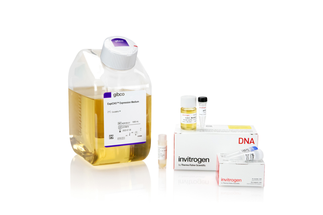 ProBioGen co-develops new Freedom ExpiCHO-S cell line development kit ...